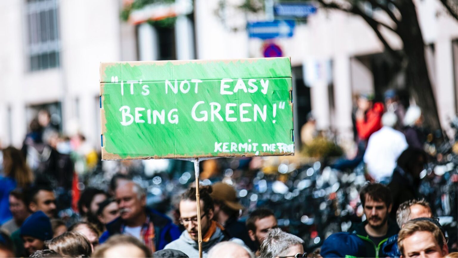 Using innovation and technology for climate change-related challenges - DX Journal